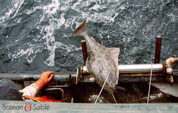 Halibut (Summer Catch) - Salmon & Sable